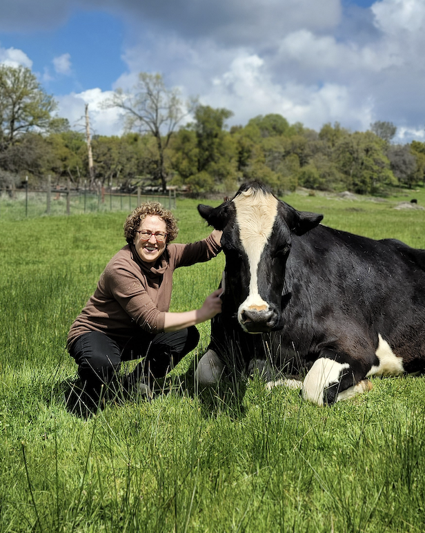 Joyce Tischler – Animal Place