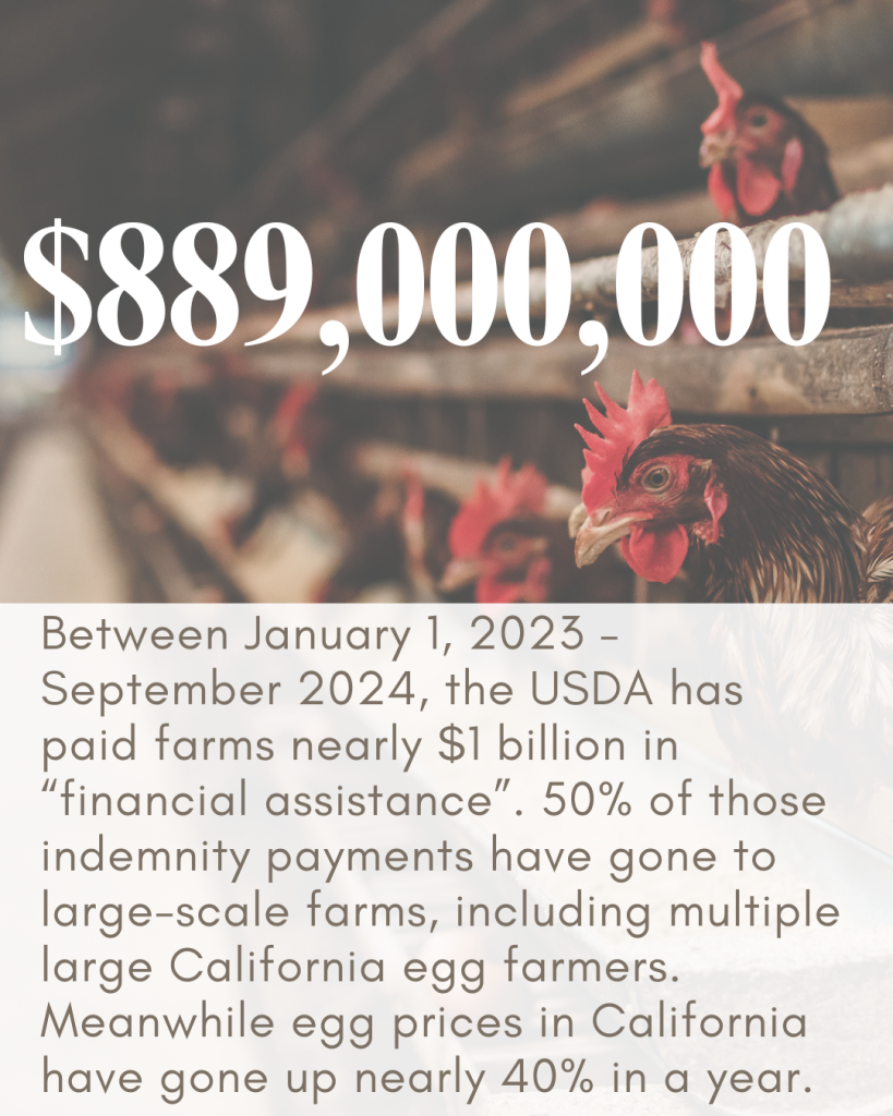 Egg Supply Shortages: The Hidden Costs of Avian Influenza - Animal Place